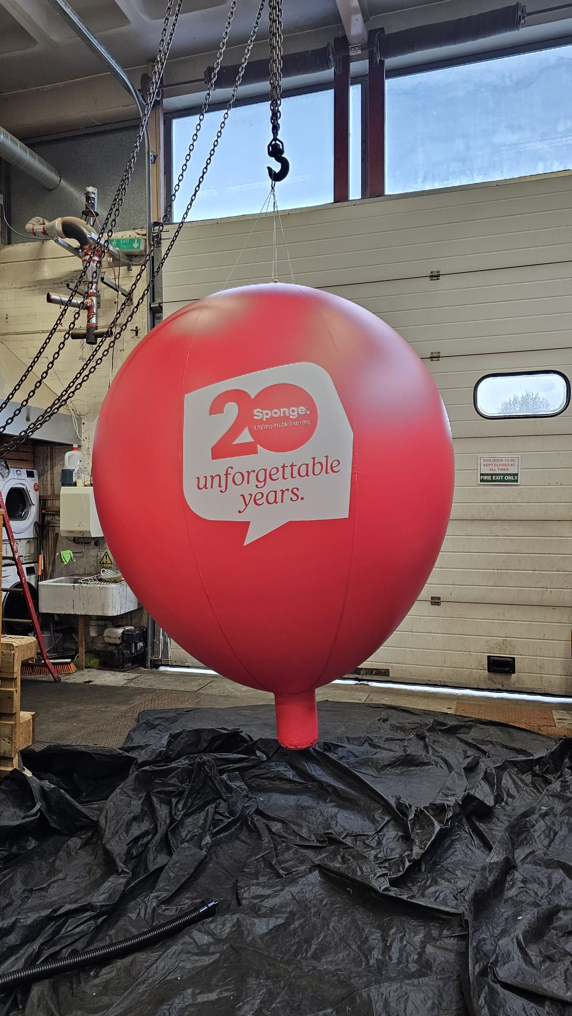 Sponge Learning Exhibition Party Balloon - Bloon | Inflatable and ...