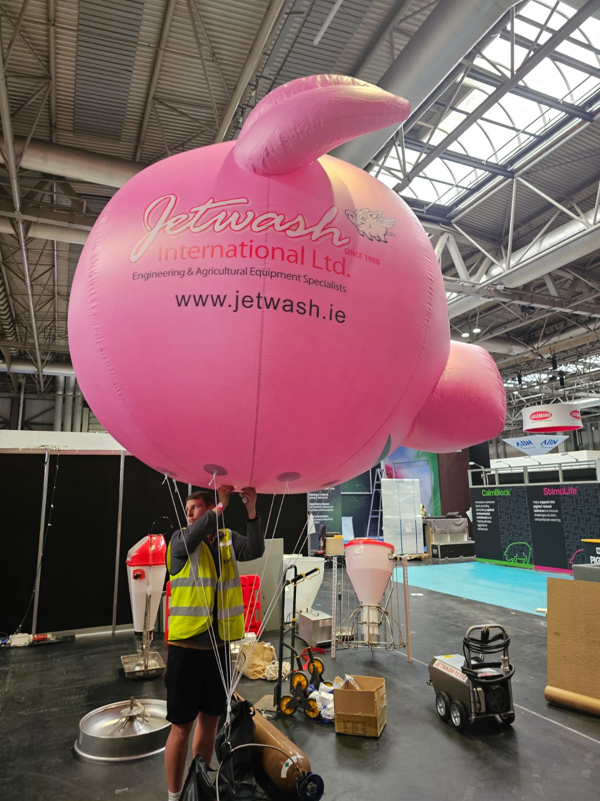 Pig Sphere - Jetwash International - Bloon | Inflatable and Aerial Marketing