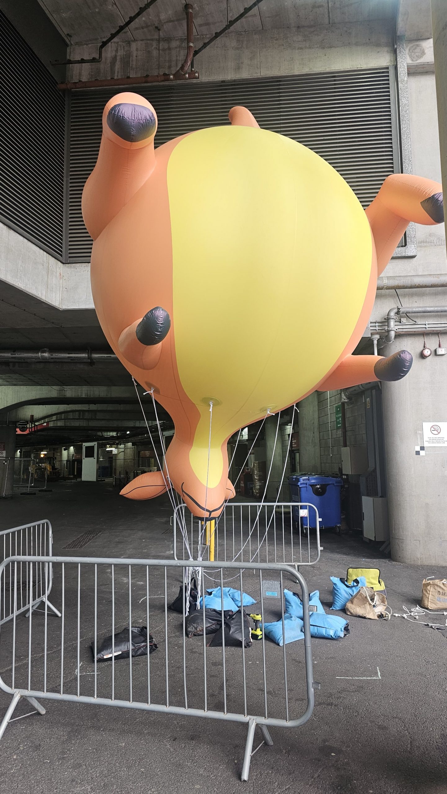 Family Traveller Live - Helium Kangaroo - Bloon | Inflatable and Aerial ...